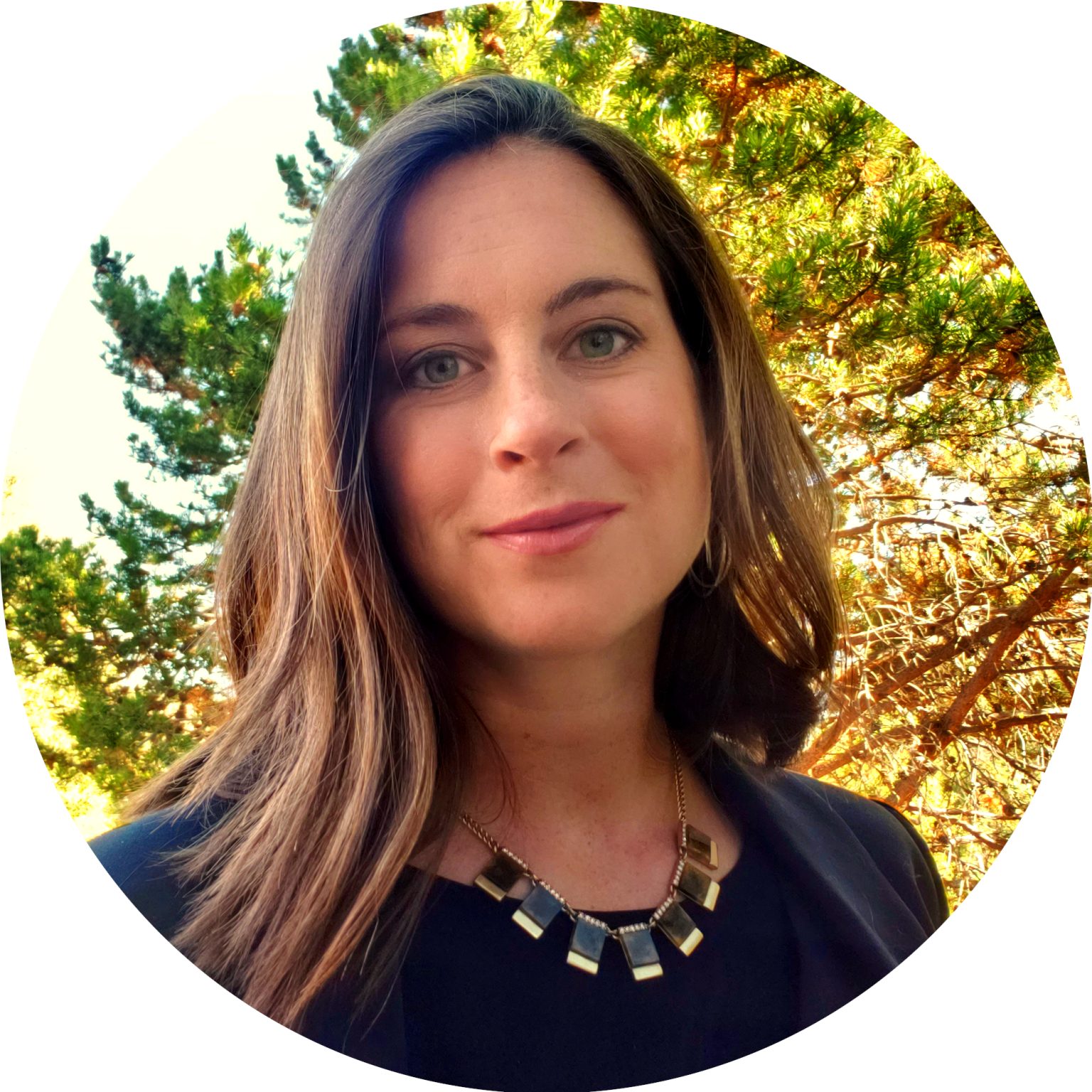 NASA's Gateways to Blue Skies Competition